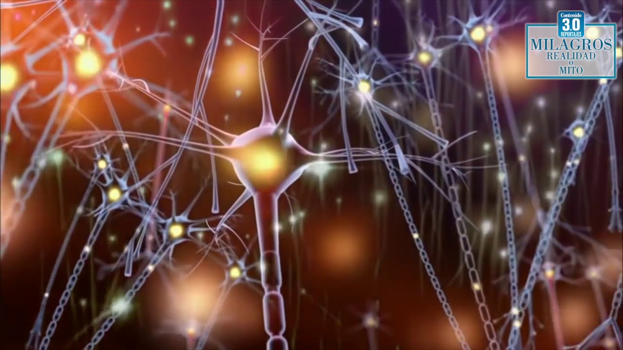 ¿Cómo explica la ciencia las experiencias místicas? - YouTube