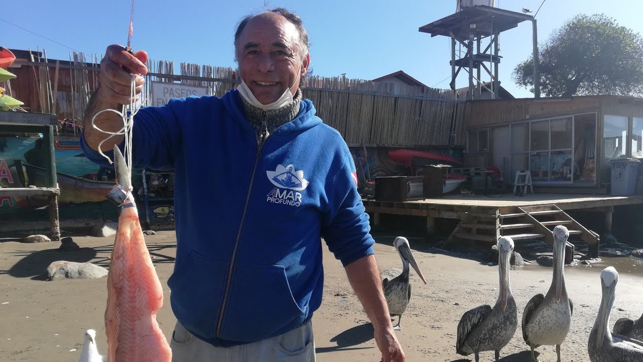 Pescado toyo|señor Alfonso olivares de la caleta maitencillo| - YouTube
