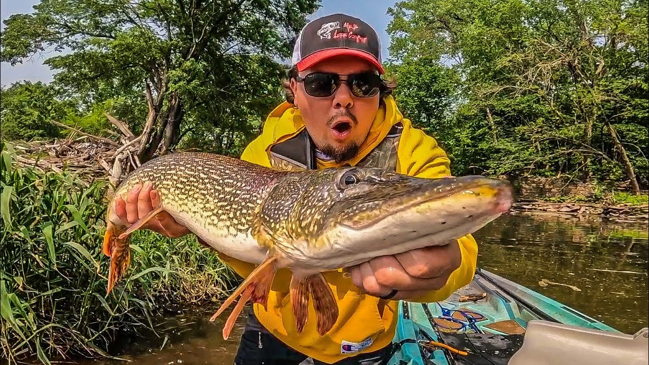 this Southeast Minnesota River is FULL of Big fish! (multi species ...