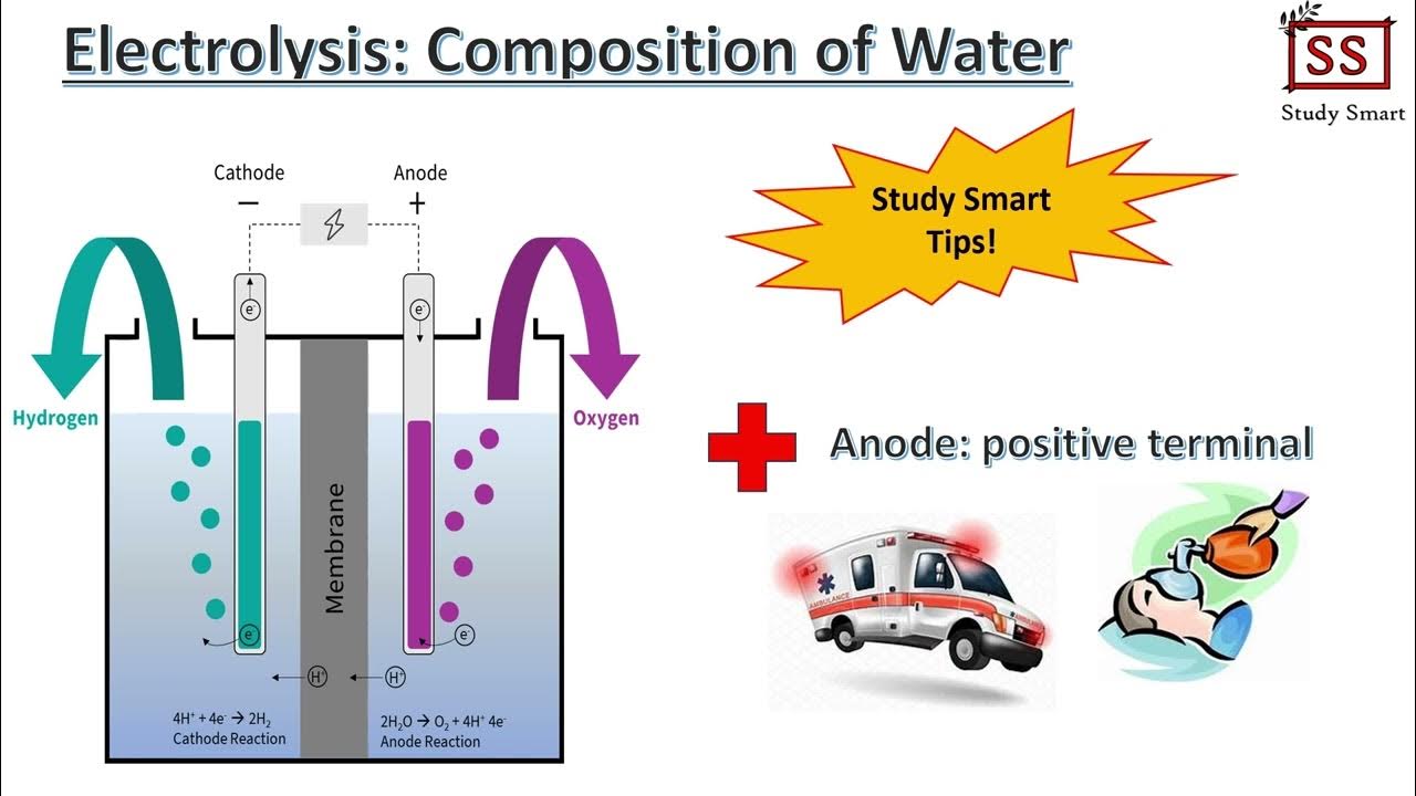 Science Form 2 Chapter 5.1 (Physical Characteristics of Water) - YouTube