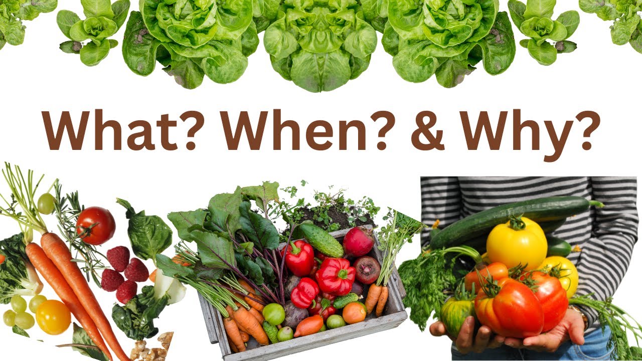 Understanding the WHY and WHEN of growing vegetables and fruits # ...