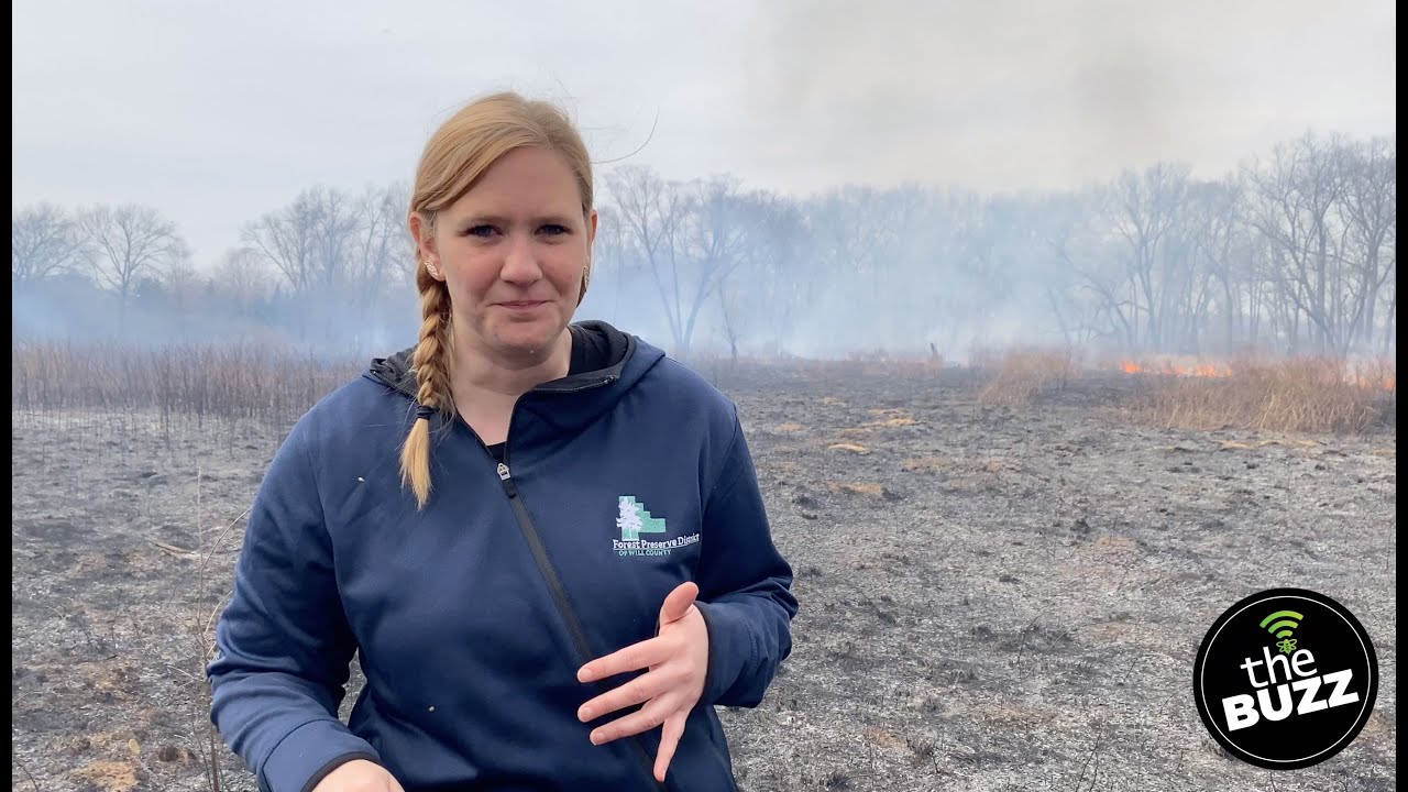 The Buzz: Season 2, Episode 4 - YouTube