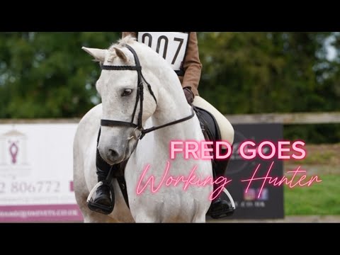 28.09.24 Working Hunter Show - YouTube