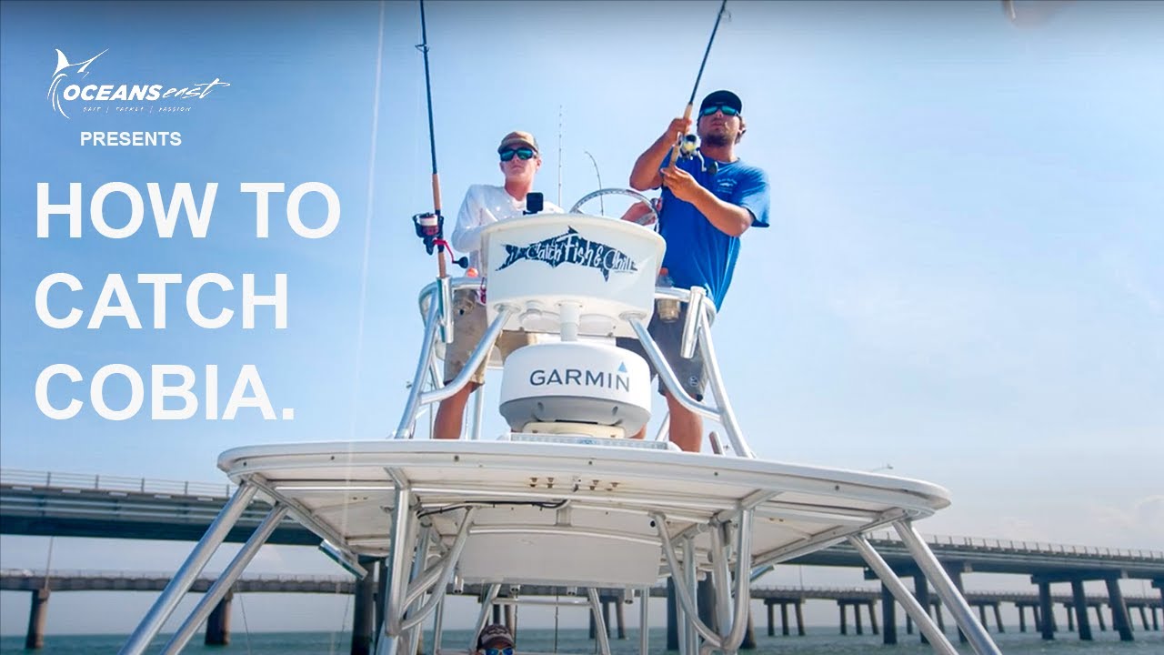 Tutorial: How to Catch COBIA (Chesapeake Bay) - YouTube