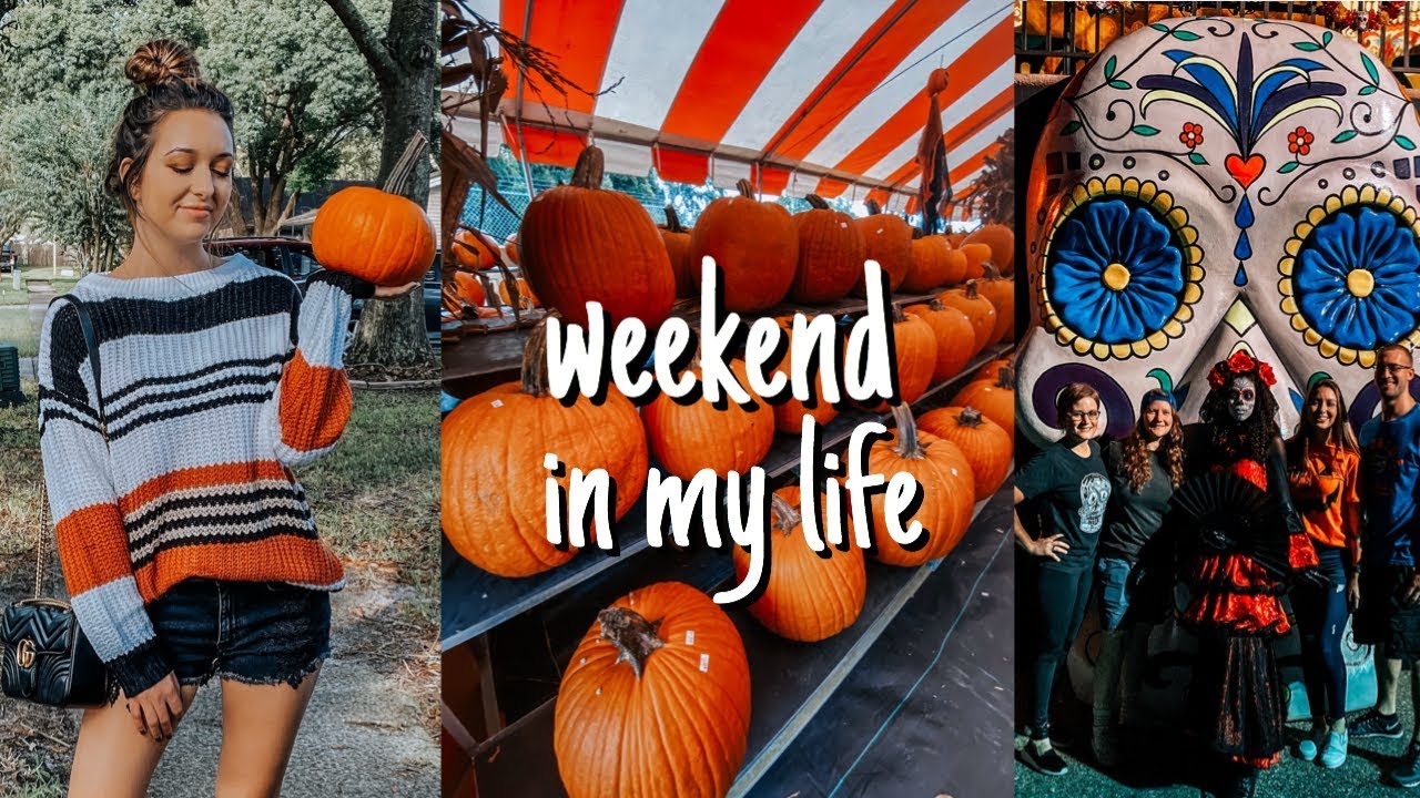 weekend in my life: FALL FESTIVITIES 🍂🍁 - YouTube