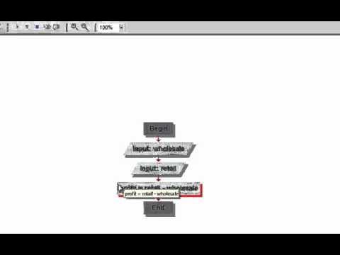 Module 2 Flowcharting Assignment Demo - YouTube