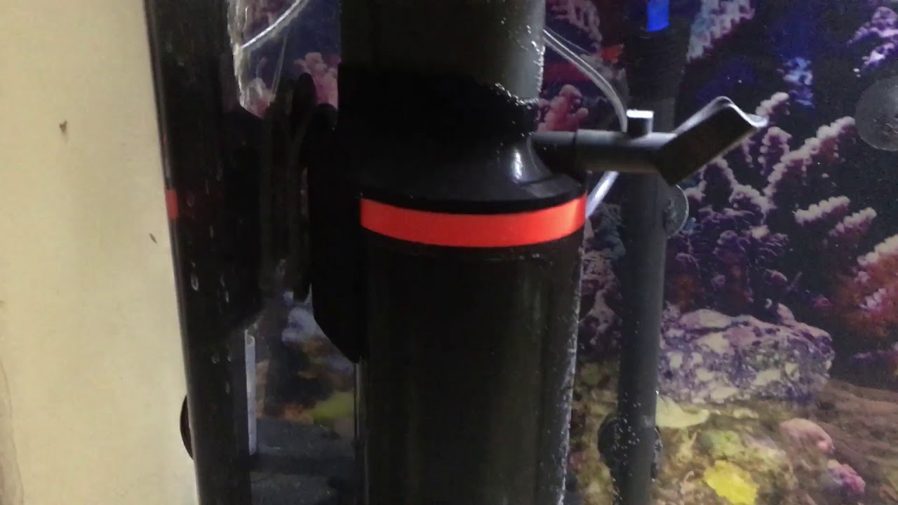 Marineland Magnum Polishing Internal Canister Filter (ML90770) - YouTube