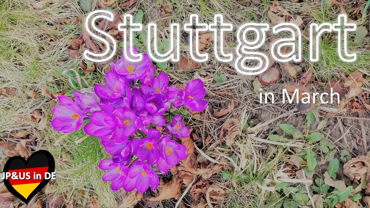 【Stuttgartドイツ🇩🇪】Stuttgart in March / Spring Coming! Walking Tour ...