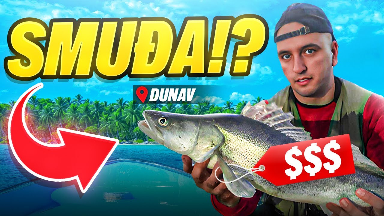 SMUDJ, DALEKO ILI BLIZU OBALE? | Zander fishing - YouTube