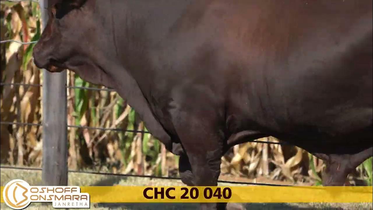 LOT 19 CHC 20 040 - YouTube