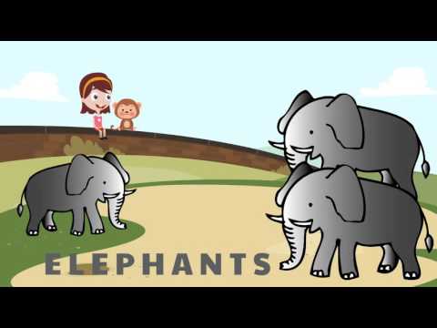 Monkey and Me - YouTube