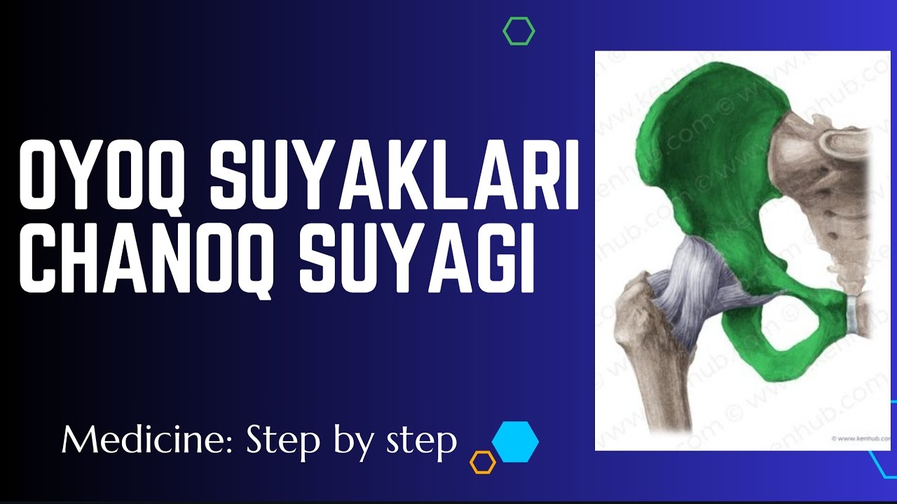 𝐎𝐲𝐨𝐪 𝐬𝐮𝐲𝐚𝐤𝐥𝐚𝐫𝐢-𝟏 | 𝐂𝐡𝐚𝐧𝐨𝐪 𝐬𝐮𝐲𝐚𝐠𝐢 #anatomy #osteology #anatomiya - YouTube