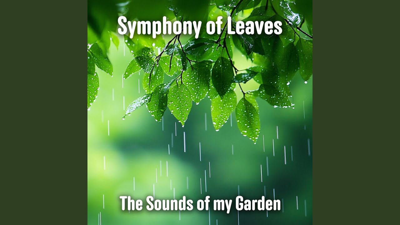 October Breeze - YouTube