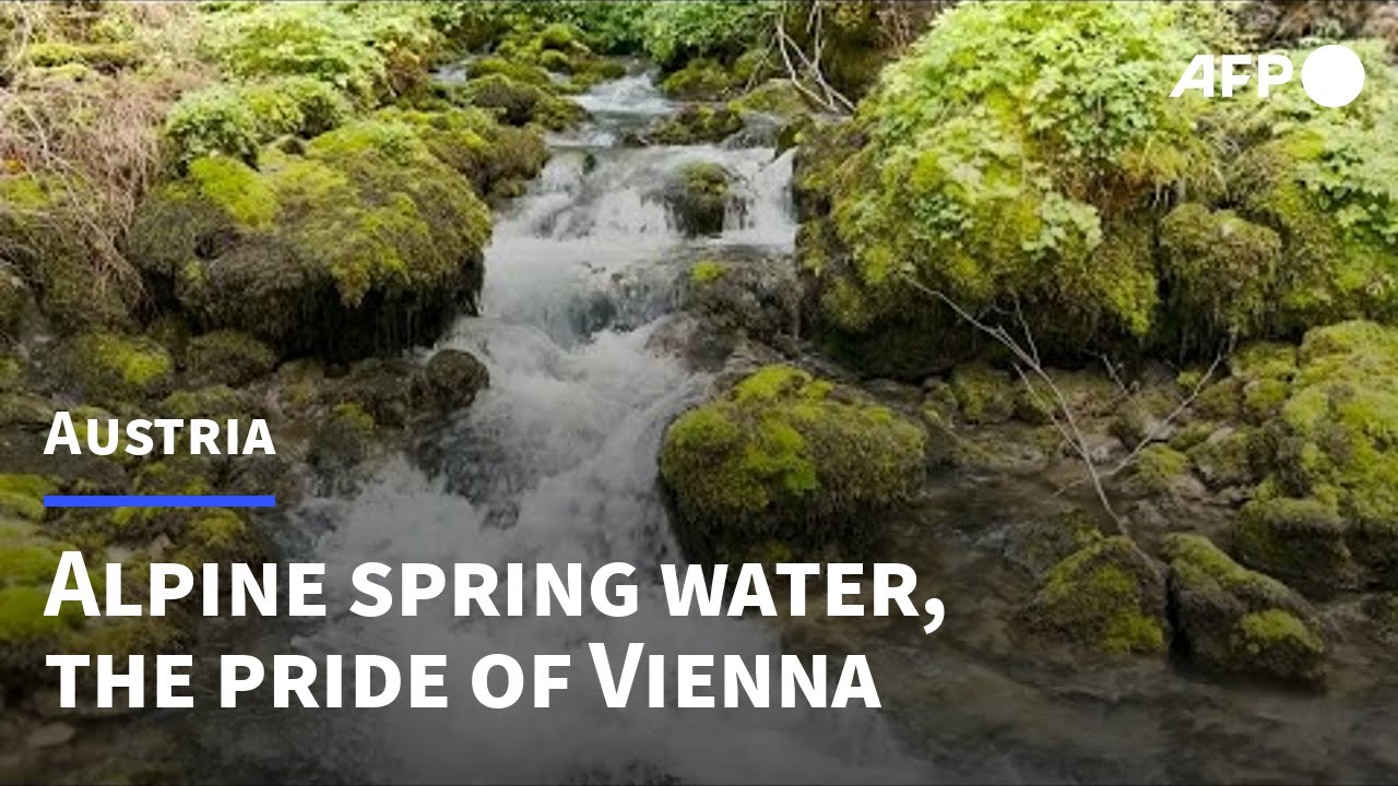 Alpine spring water at the source of Vienna's climate security | AFP ...
