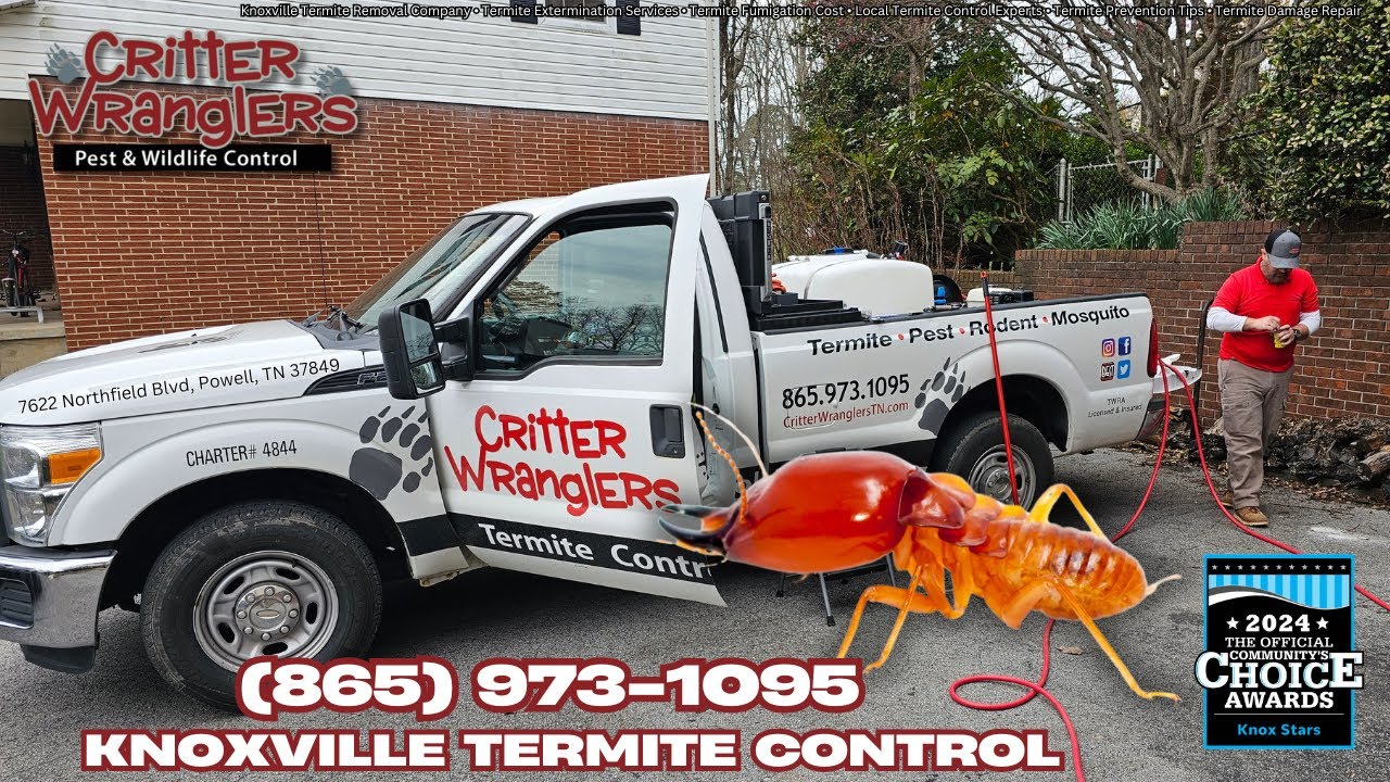 Knoxville, TN Termite Control & Extermination - (865) 973-1095 ...