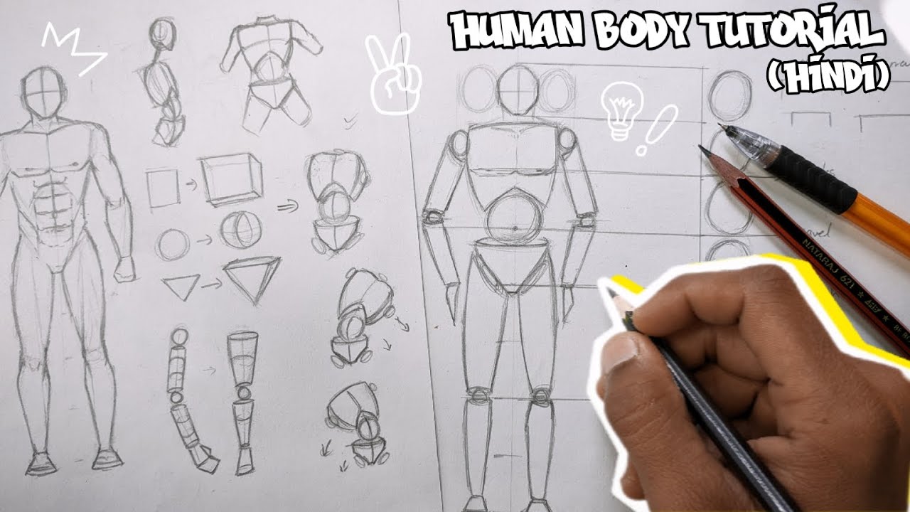How To Draw Human Figure (The Ideal Male Body Proportion) - YouTube