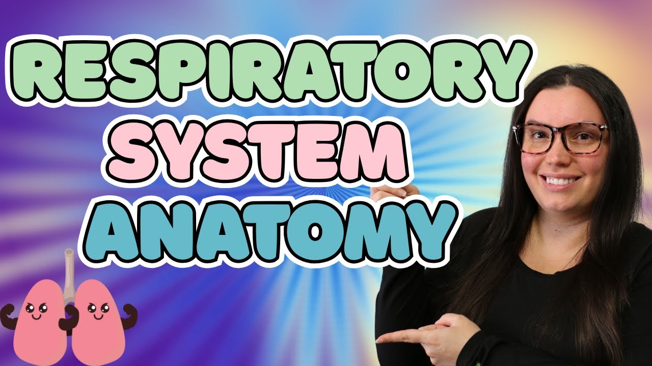 Respiratory System: Nurse Cheung Lung Anatomy & Physiology | Gas ...