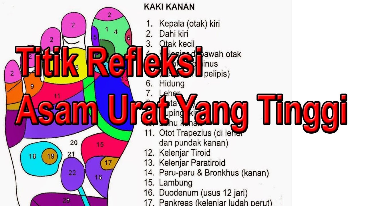 Titik Refleksi Penyakit Asam Urat Yang Tinggi - YouTube