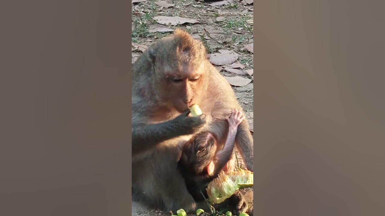 VID20250112181651 top 4 3 - YouTube