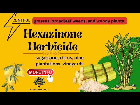 Hexazinone Herbicide for  grasses, broadleaf & woody weeds in sugarcane, citrus, vineyard and other