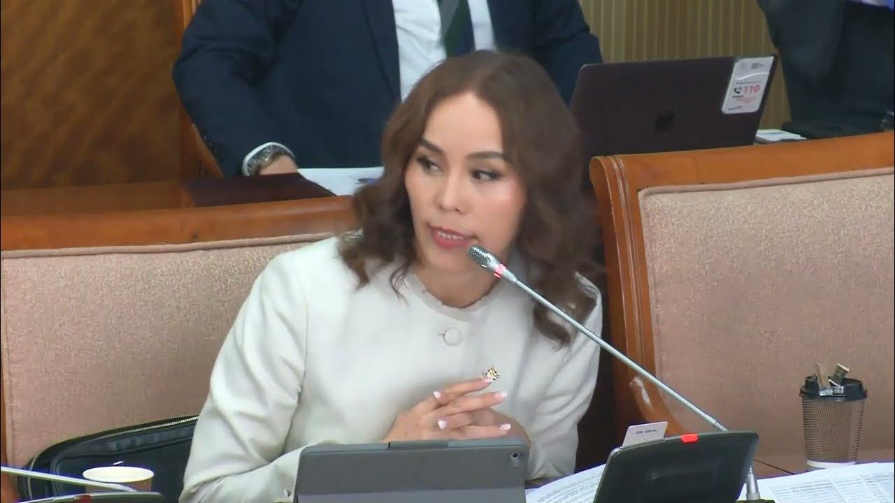 Ц Мөнхцэцэг Гадаадруу оргон зайлсан этгээдүүдийг авчрах шувуу