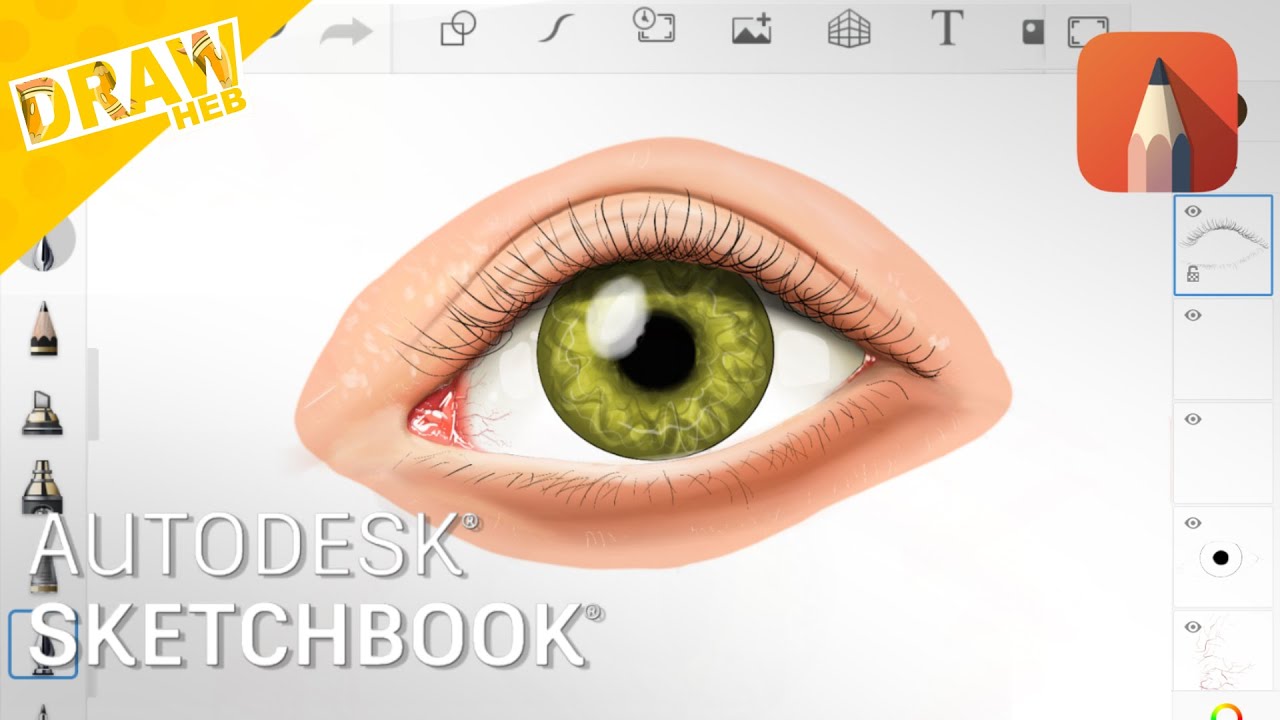 Sketchbook: realistisches Auge zeichnen step by step | Sketchbook in ...