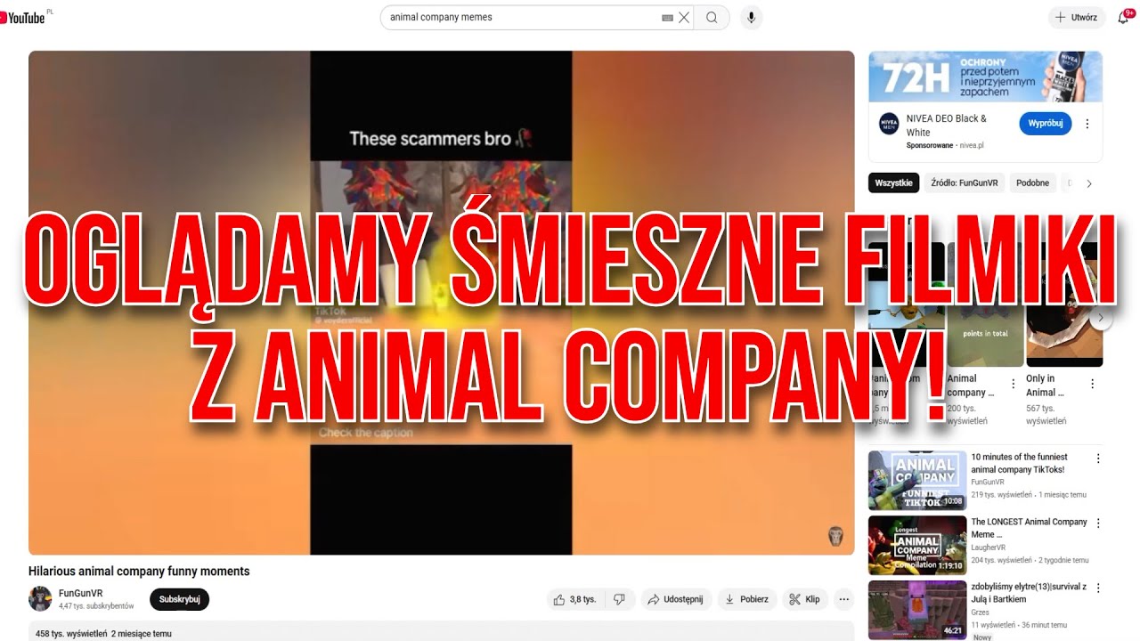 OGLĄDAMY ŚMIESZNE FILMIKI Z ANIMAL COMPANY! - YouTube