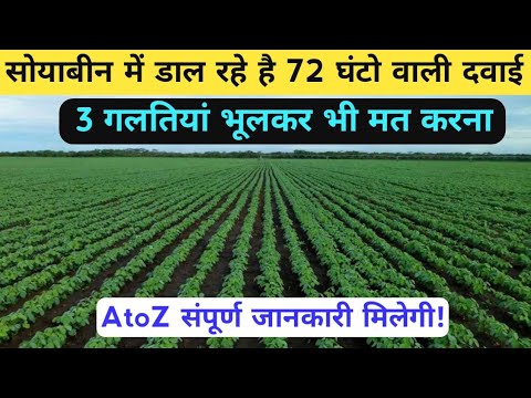 सोयाबीन में 72 घंटों वाली खरपतवार नाशक डालते समय 3 गलतियां कभी भी मत करना / Soybean Ki Kheti