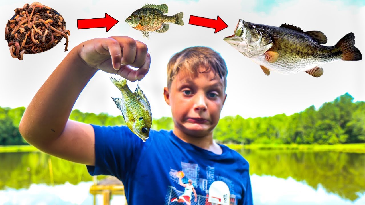 Kid Attempts Food Chain Fishing Challenge (Unexpected Catch!!) - YouTube