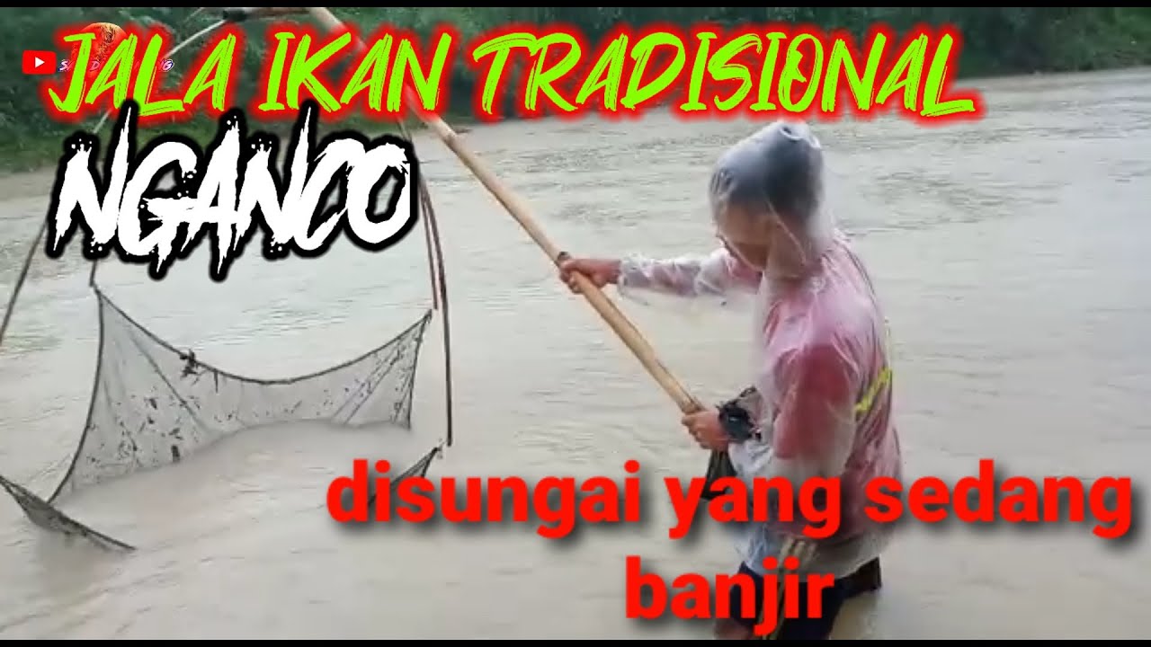 AMAZING NET FISHING || JALA IKAN TRADISIONAL DISUNGAI YANG SEDANG ...