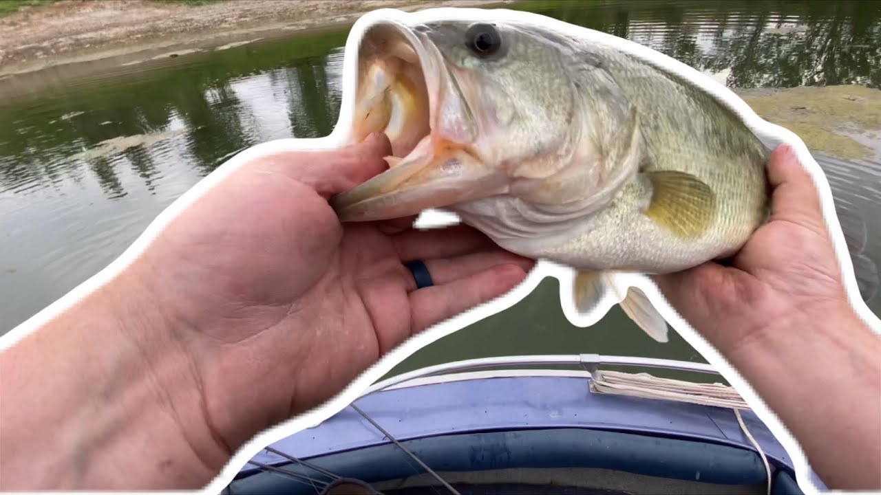 Thicc Summer Bass Youtube