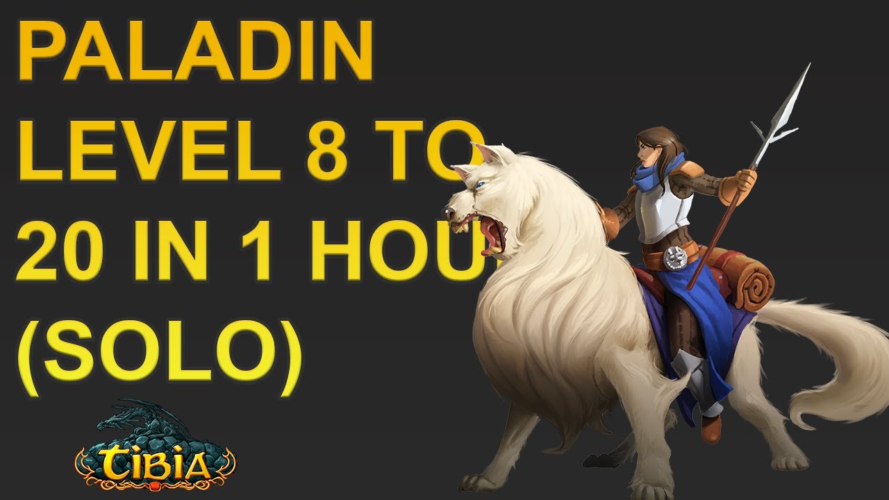 Tibia Paladin LEVEL 8 TO 20 IN 1 HOUR (SOLO). - YouTube