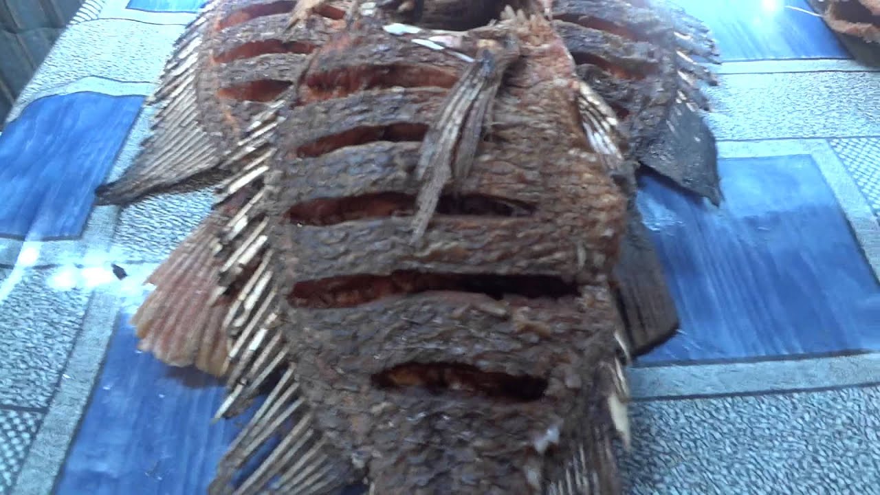 Samaki mkunje angali mbichi 18 may 2013 048 - YouTube