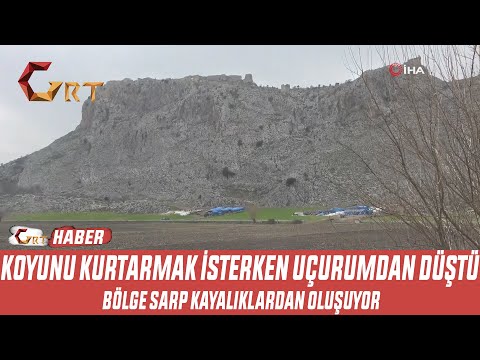 KOYUNU KURTARMAK İSTERKEN UÇURUMDAN DÜŞTÜ