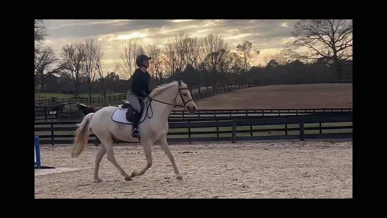 Catch ride on 4yr old import Oliver December 2024 - YouTube