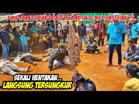 KEHEBATAN PAWANG PAK ASEP❗️❗️BARONGAN KUDA LUMPING LANGSUNG TERSUNGKUR SEMUA 💥 MSP DI MAJALAYA
