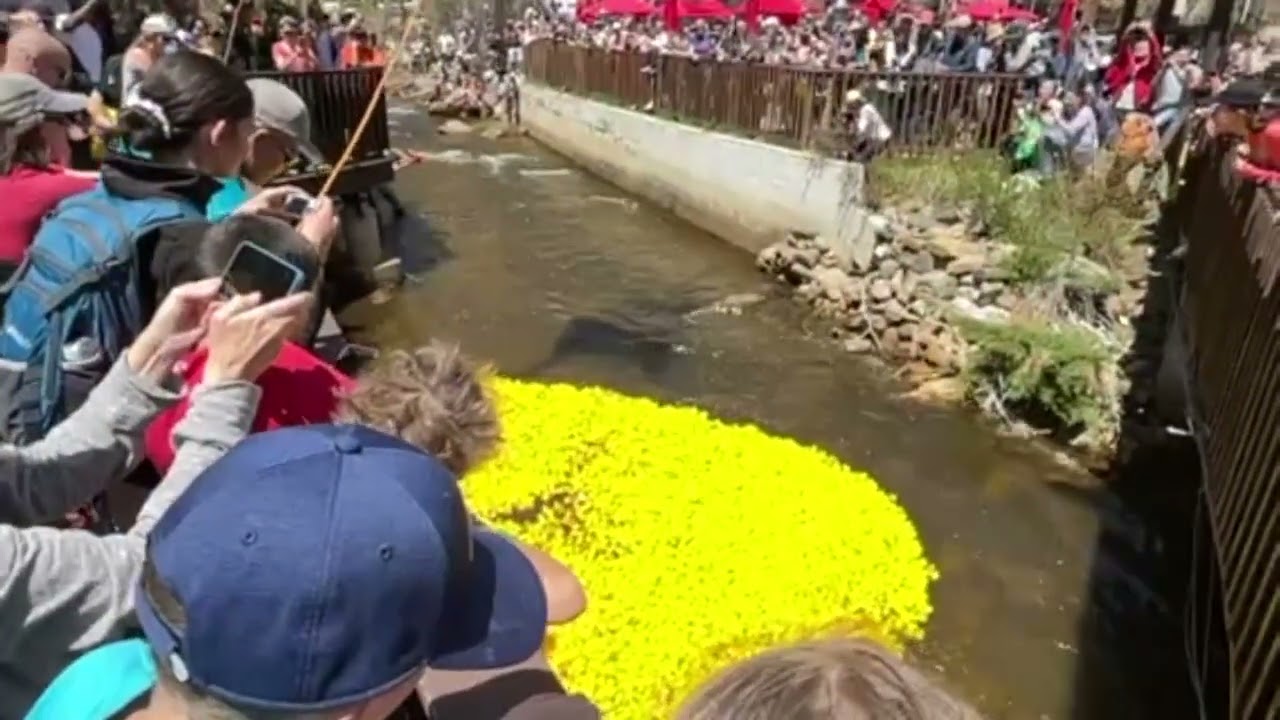 Estes Park Duck Race, May 7, 2022 - YouTube