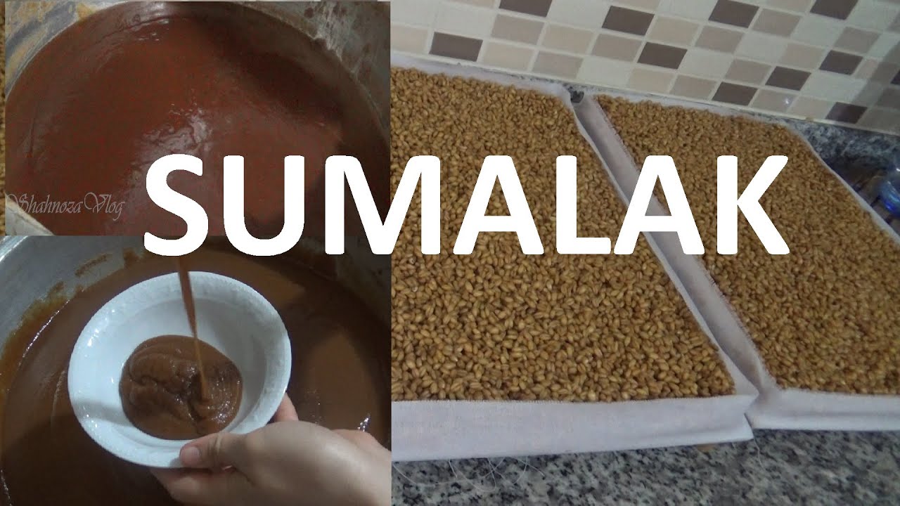 Сумалак - древний способ приготовления/QADIMIY USULDA SUMALAK ...