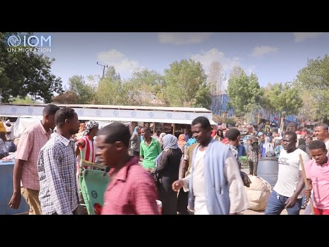 IOM Reporter: IOM Ethiopia's Response to the Sudan Crisis - YouTube