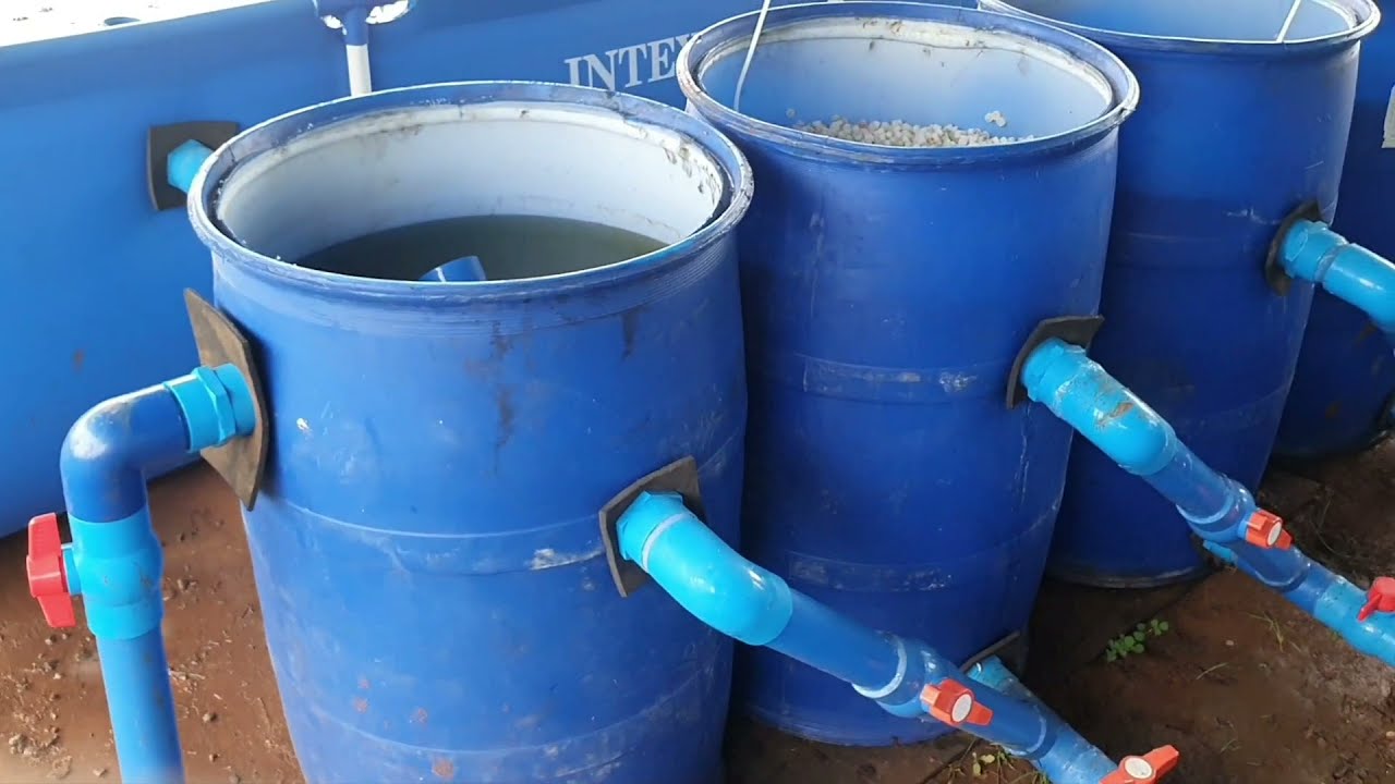 Recirculating Aquaculture System (RAS) Philippines - YouTube