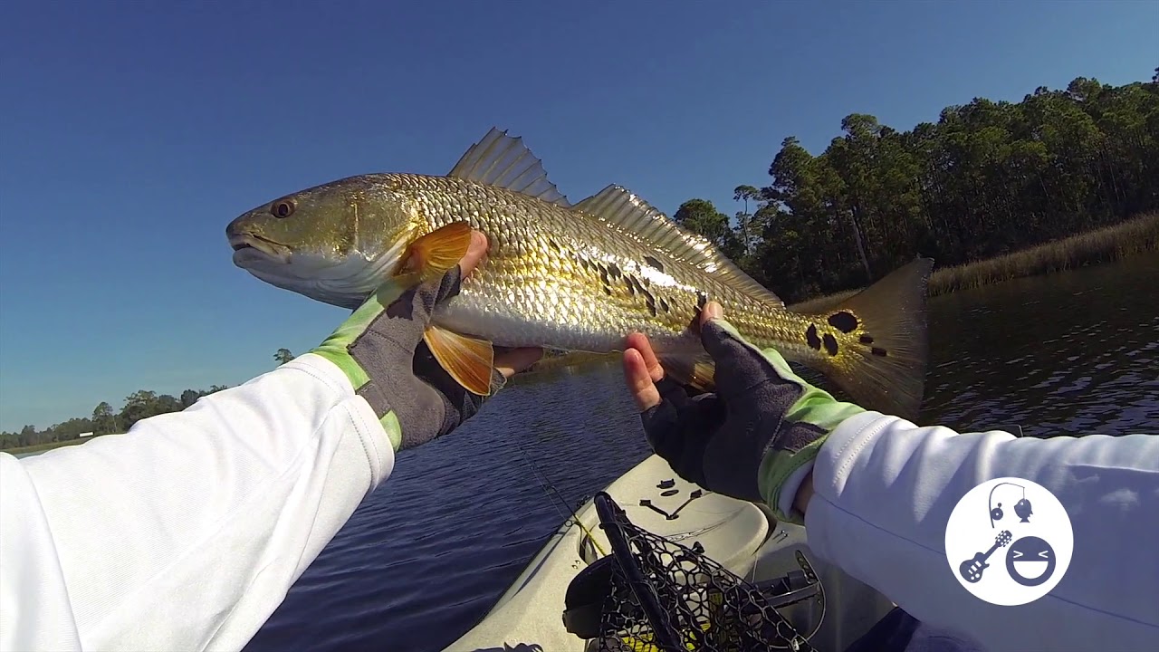 Mulat Bayou redfish - Fishing Milton, FL - YouTube