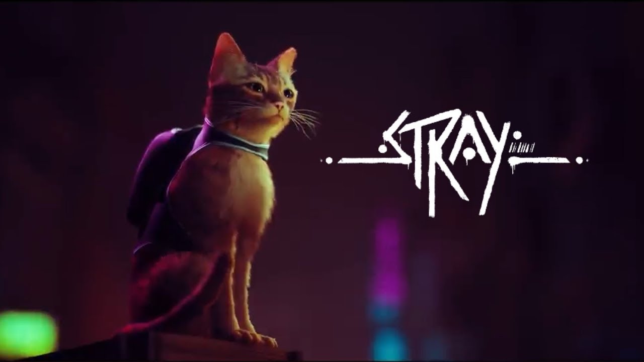 stray #2 - YouTube