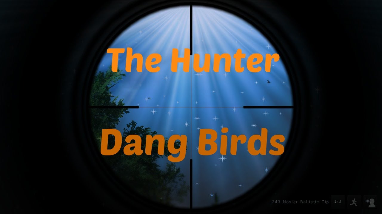 Dang Birds: The Hunter - YouTube