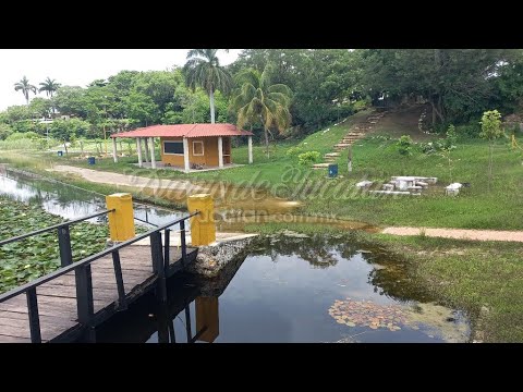 Acuaparque de Mérida: piscinas vacías y zonas inundadas - YouTube