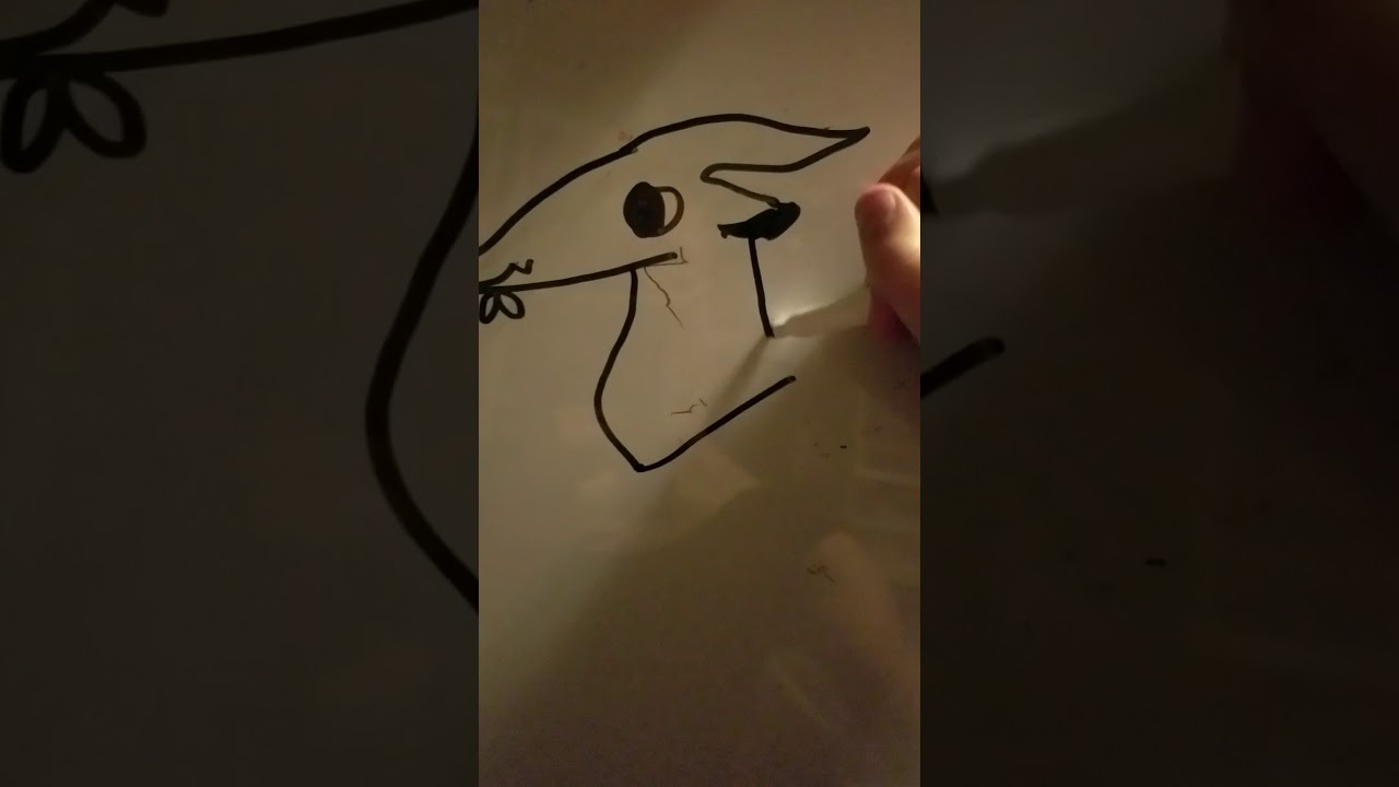 Seawing Drawing - YouTube