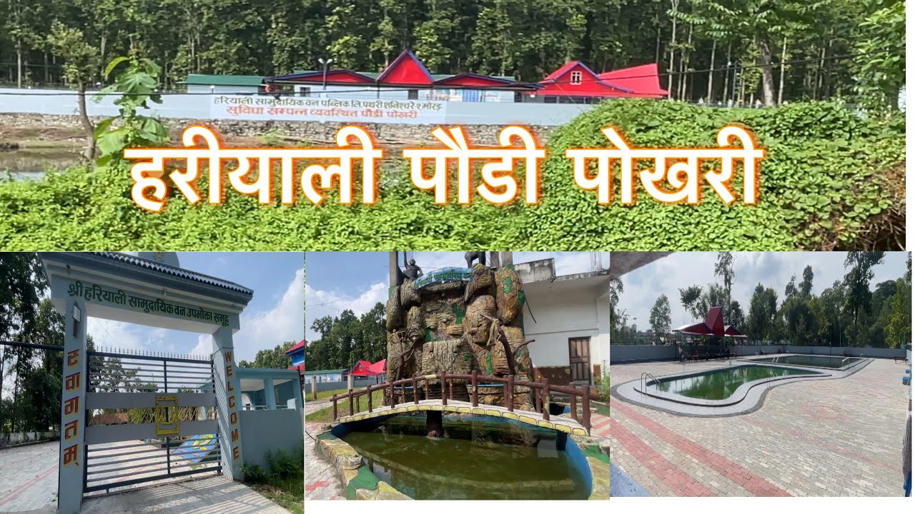 हरीयाली पौडी पोखरी पथरी मोरंग नेपाल। Hariyali Swimming pool Pathari ...