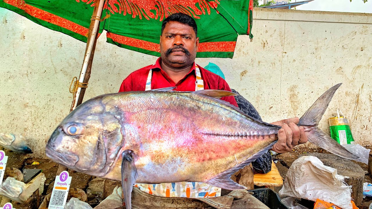 KASIMEDU SELVAM MASTER OF FISH CUTTING GOD🔪AMAZING SPEED FISH CUTTER🔪KF ...