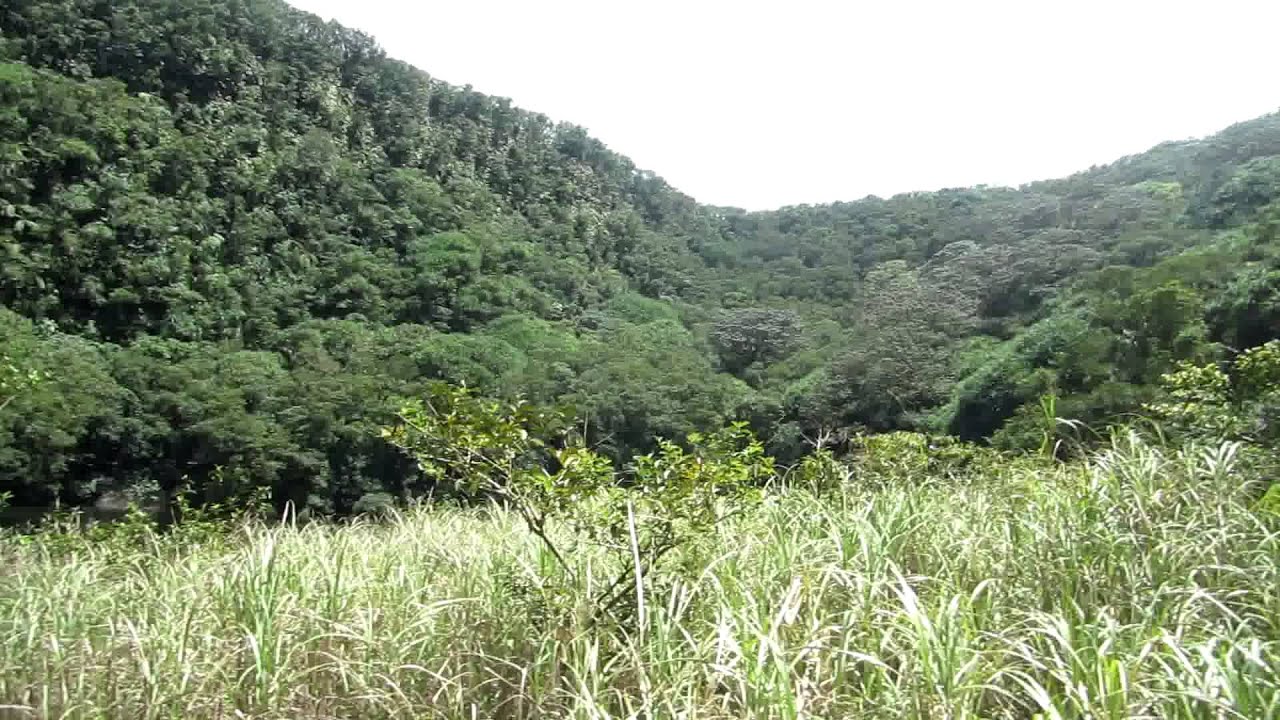 Inside Hibok-Hibok Volcano Crater, Camiguin - Schadow1 Expeditions ...