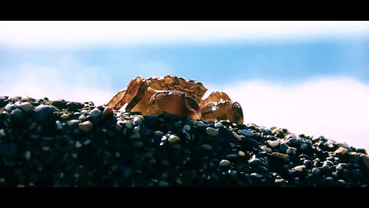Sea Cinematic Vlog - YouTube