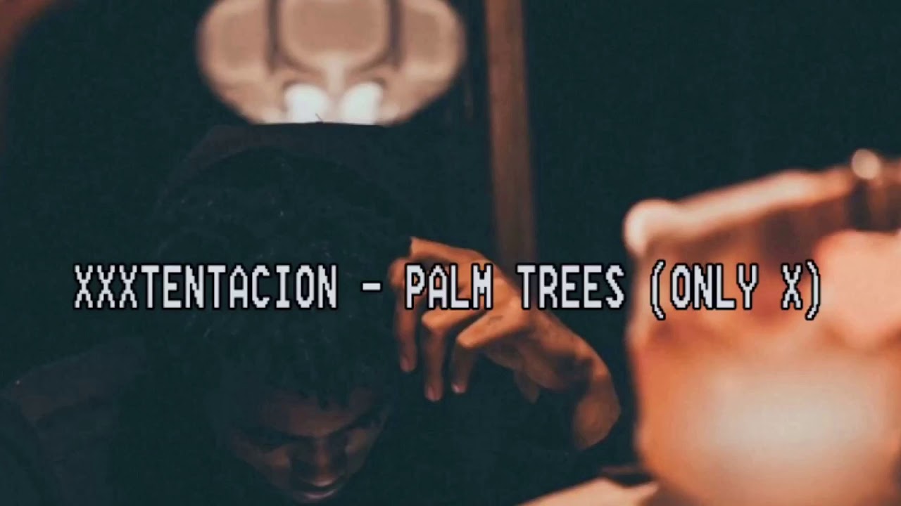 Xxxtentacion Palm Trees Lyric Video Youtube